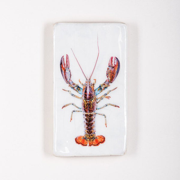 Canner lobster – Elemento