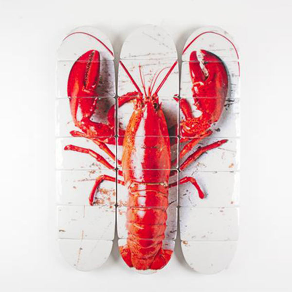 Cooked Canner lobster – Elemento