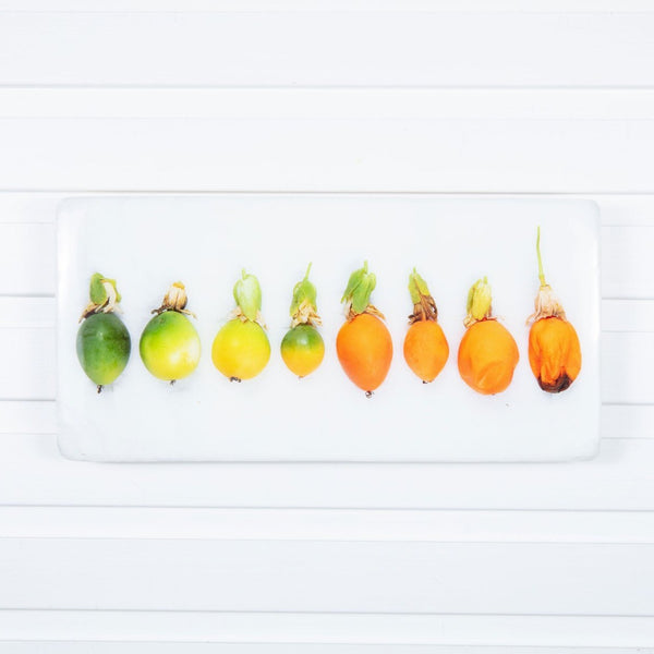 Eight Passion Fruits – Elemento